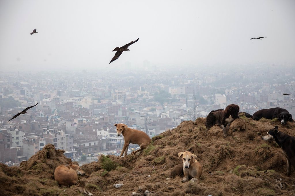 Cuál es la ciudad con la mayor contaminación atmosférica del mundo y ...
